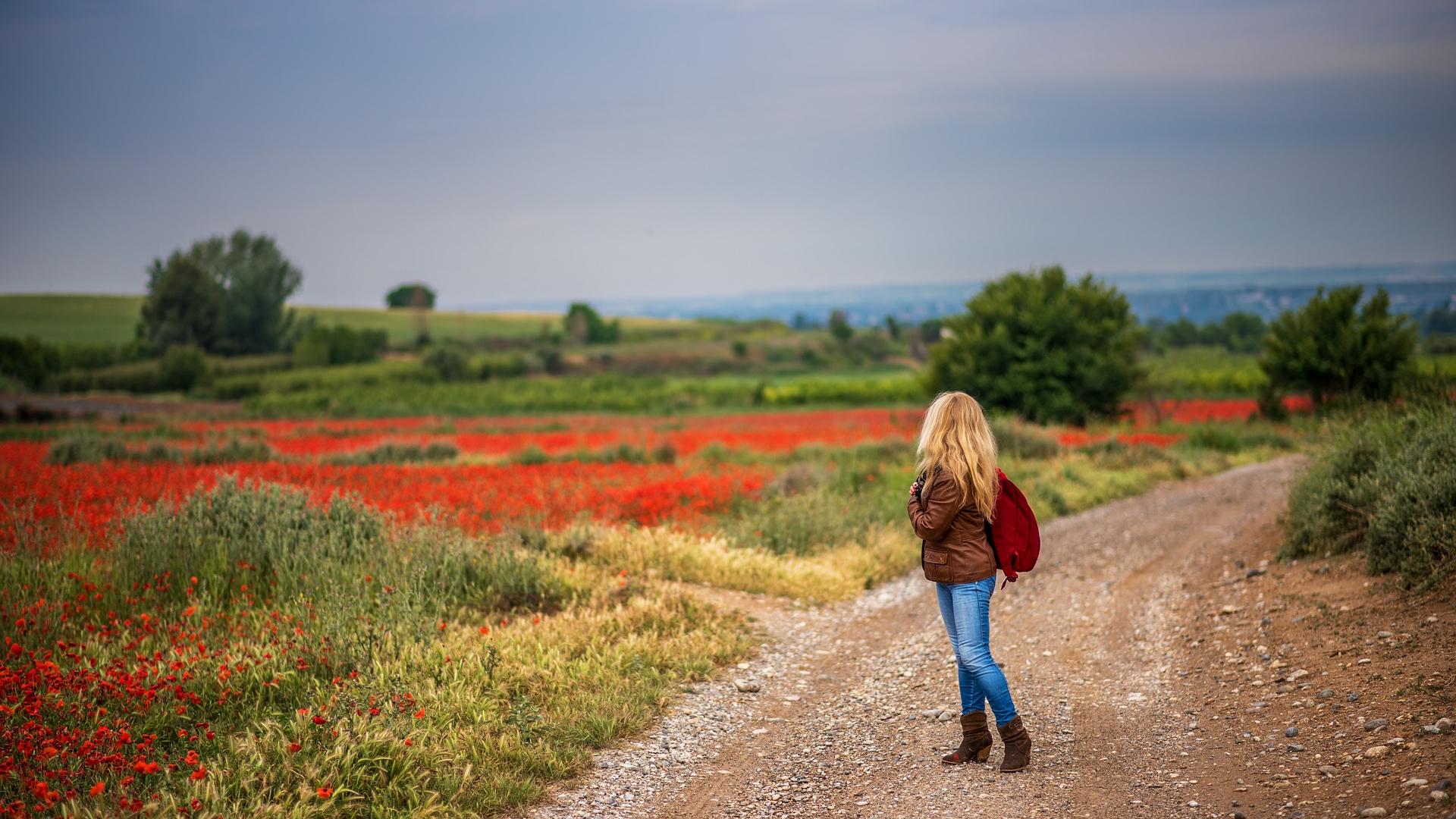 Sud Val de Loire Tourisme Accueil